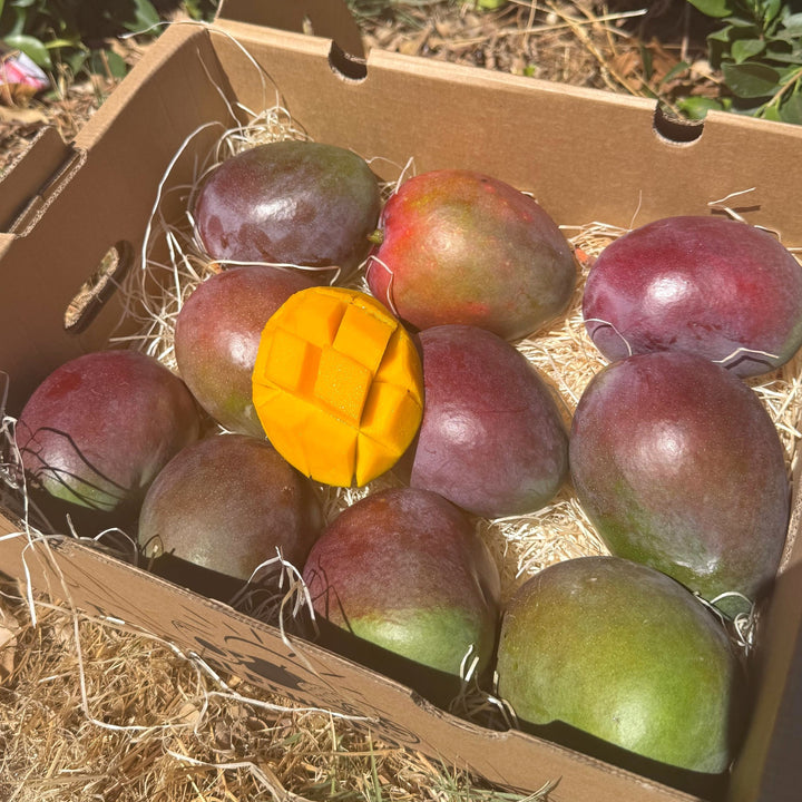 Toate Produsele – TropicalFruitParadise