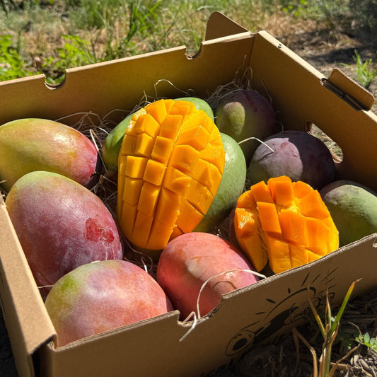 Tropical Fruit Paradise – TropicalFruitParadise