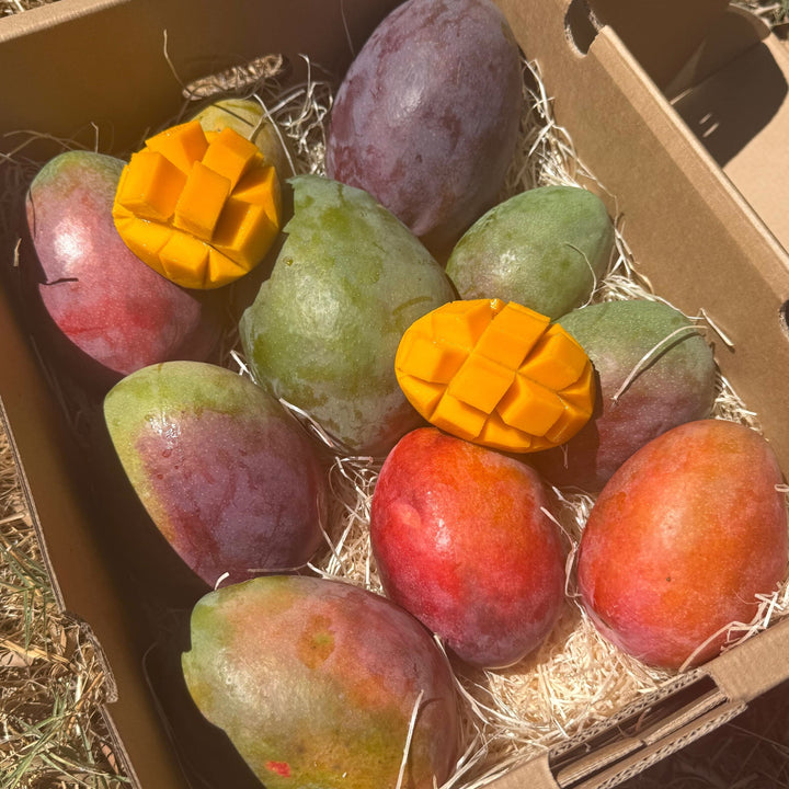 Tropical Fruit Paradise – TropicalFruitParadise