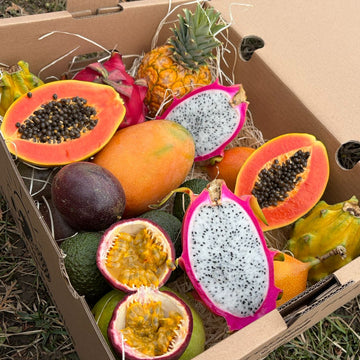 Pagina Principală – TropicalFruitParadise