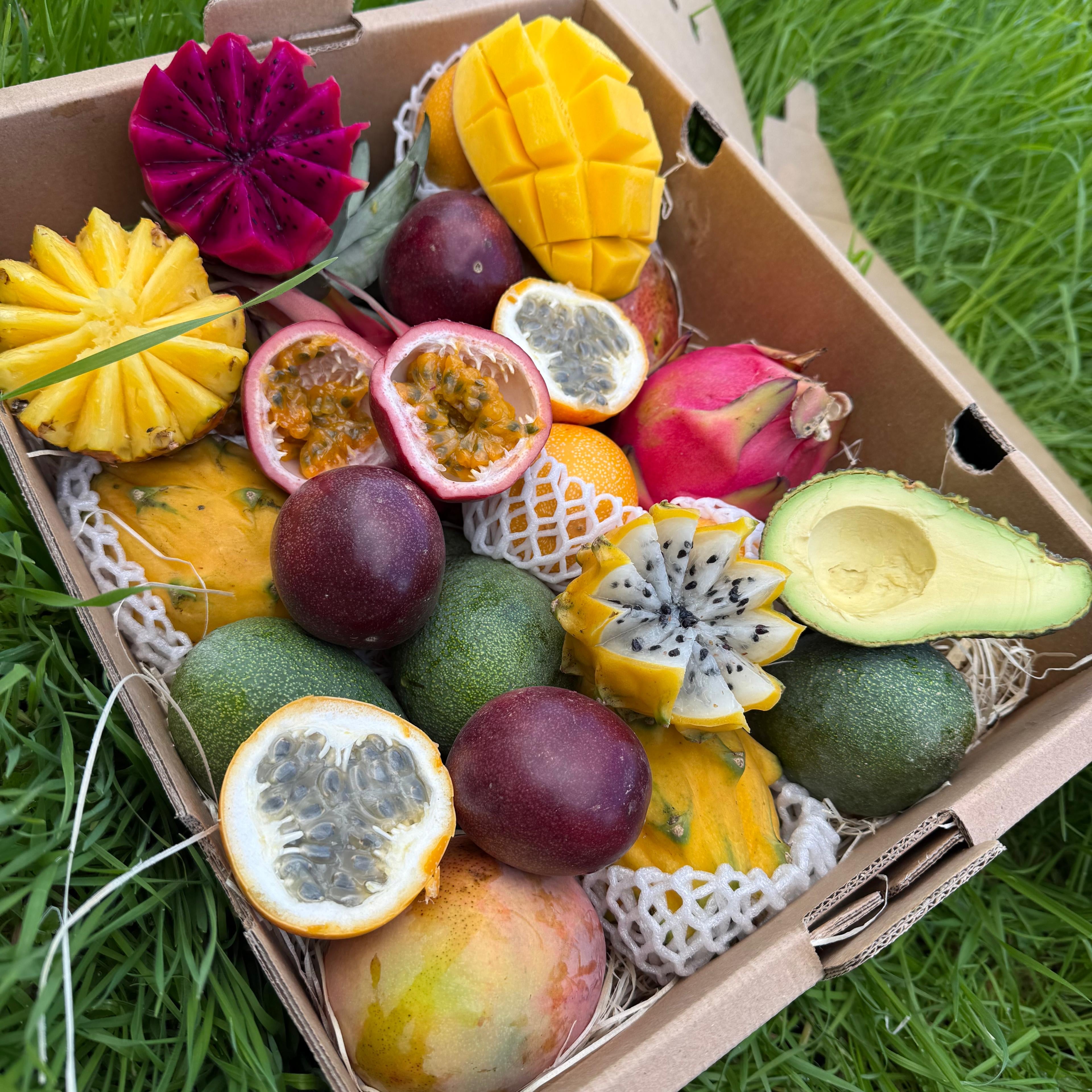 Tropical Fruit Paradise – TropicalFruitParadise