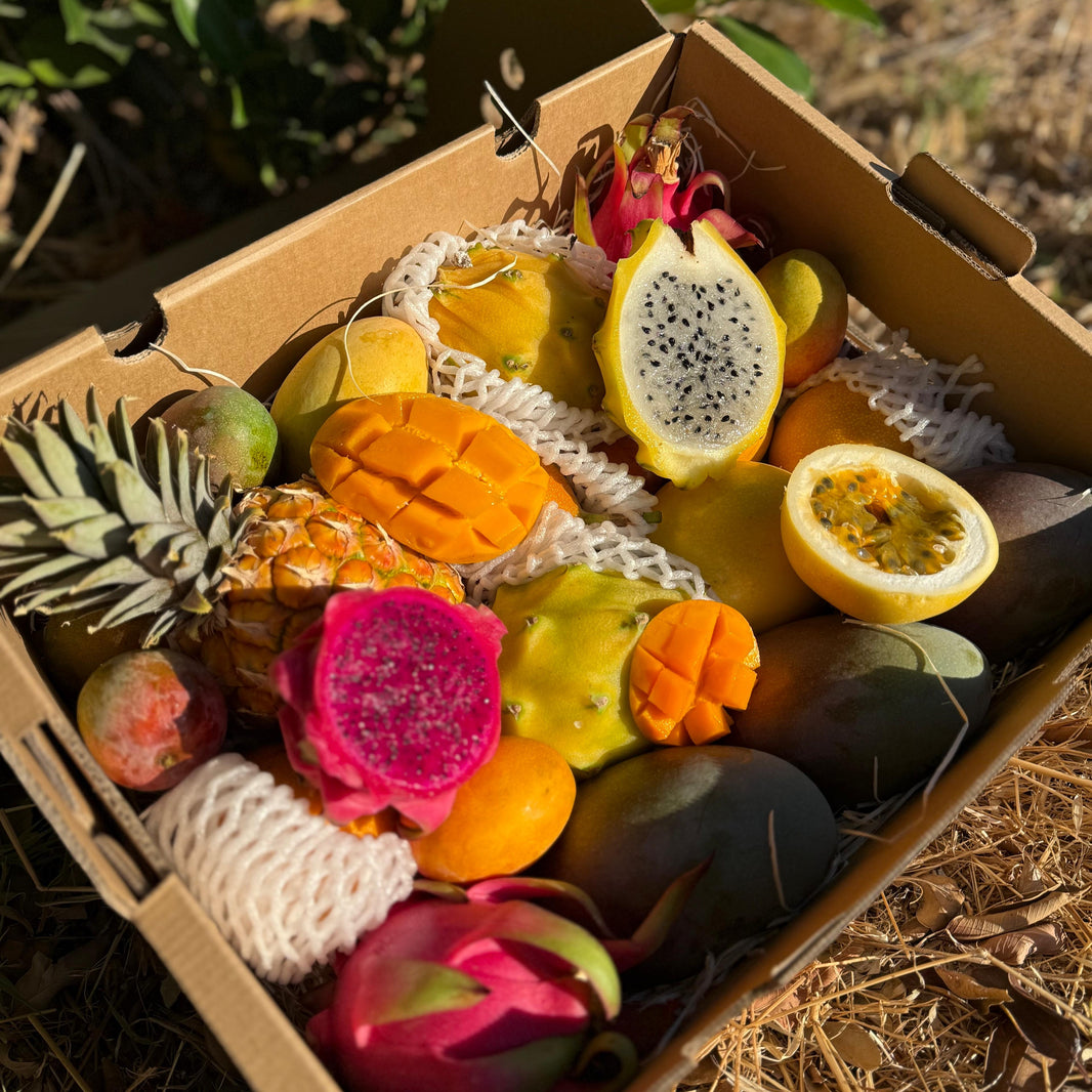 Tropical Fruit Paradise – TropicalFruitParadise