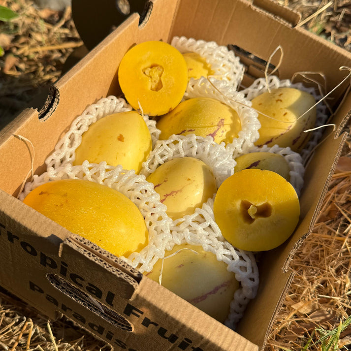 Pera Melon Ecuador – TropicalFruitParadise